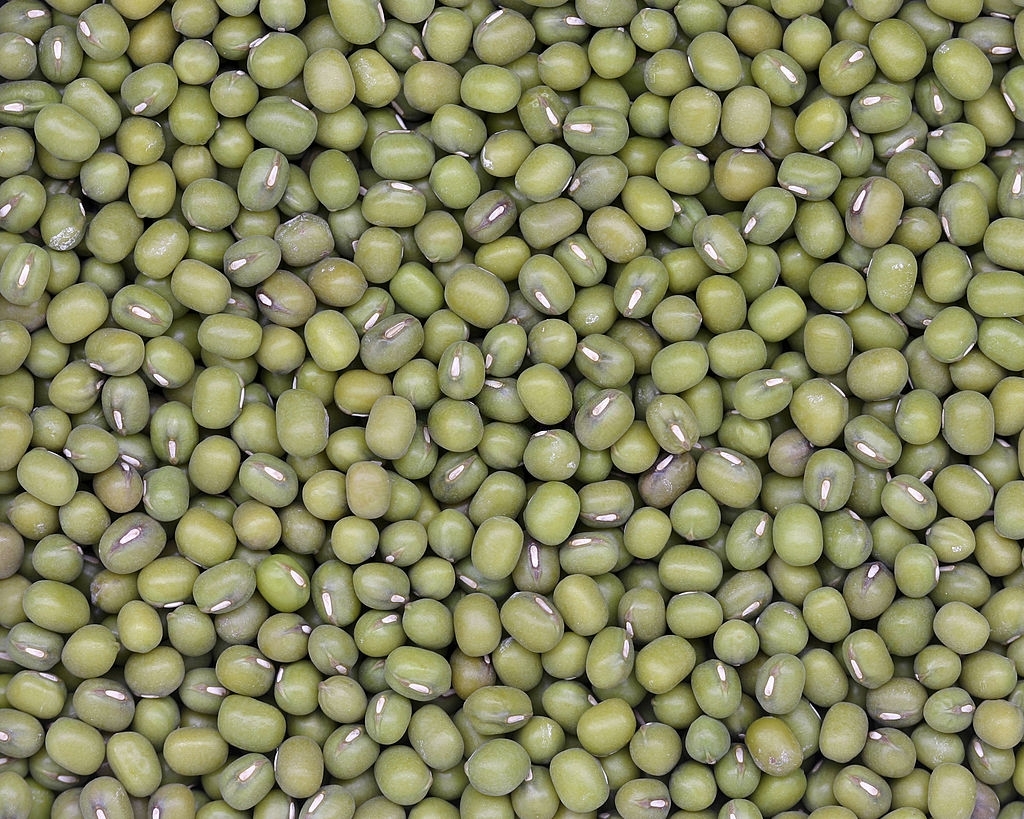 What Is Indonesia Candle Nuts? And Where Can You Find The Best ...